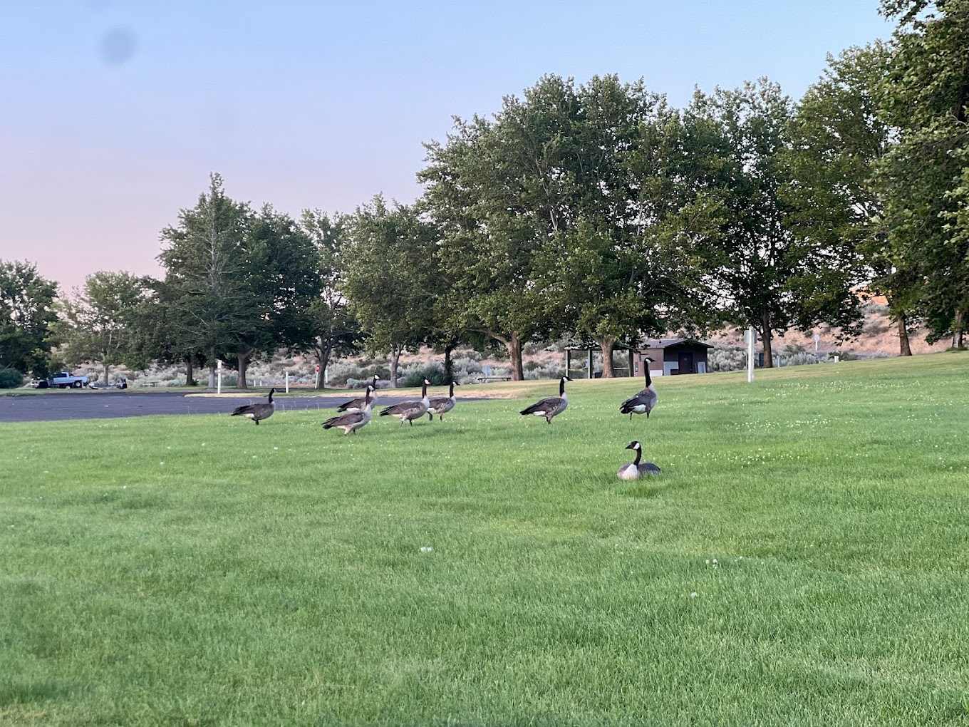 Crow Butte Campground - Hipcamp in Paterson, Washington