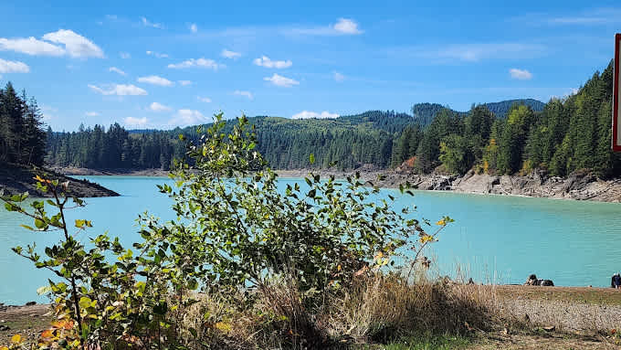 Alder Lake Park - Hipcamp in Eatonville, Washington