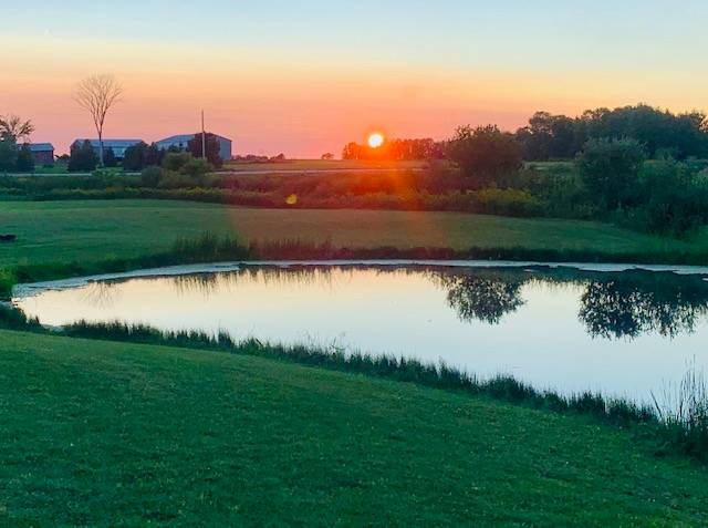 Timber Trail Campground - Hipcamp in Algoma, Wisconsin