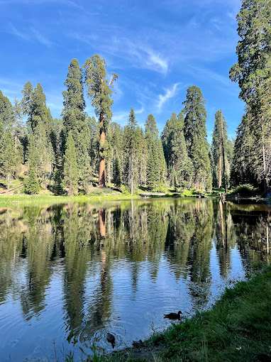 Balch Park Campground - Hipcamp in Springville, California