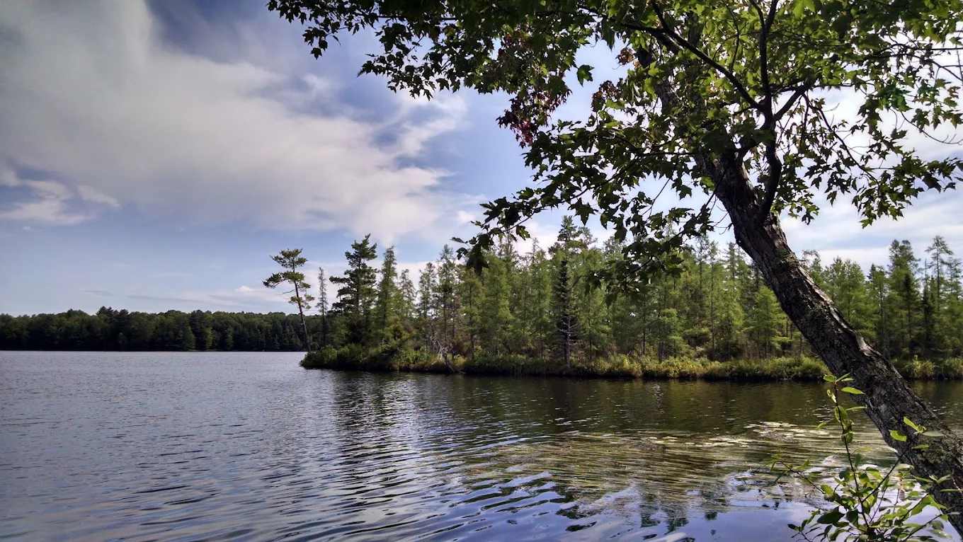 Jack Lake Campground Langlade County Park - Hipcamp in Deerbrook, Wisconsin