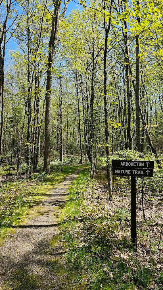 Jack Lake Campground Langlade County Park - Hipcamp in Deerbrook, Wisconsin