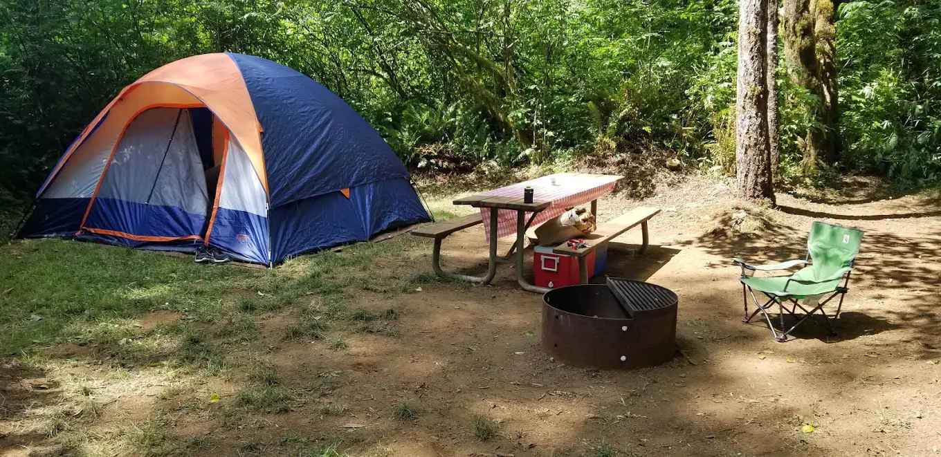 Trask River County Park - Hipcamp in Tillamook, Oregon