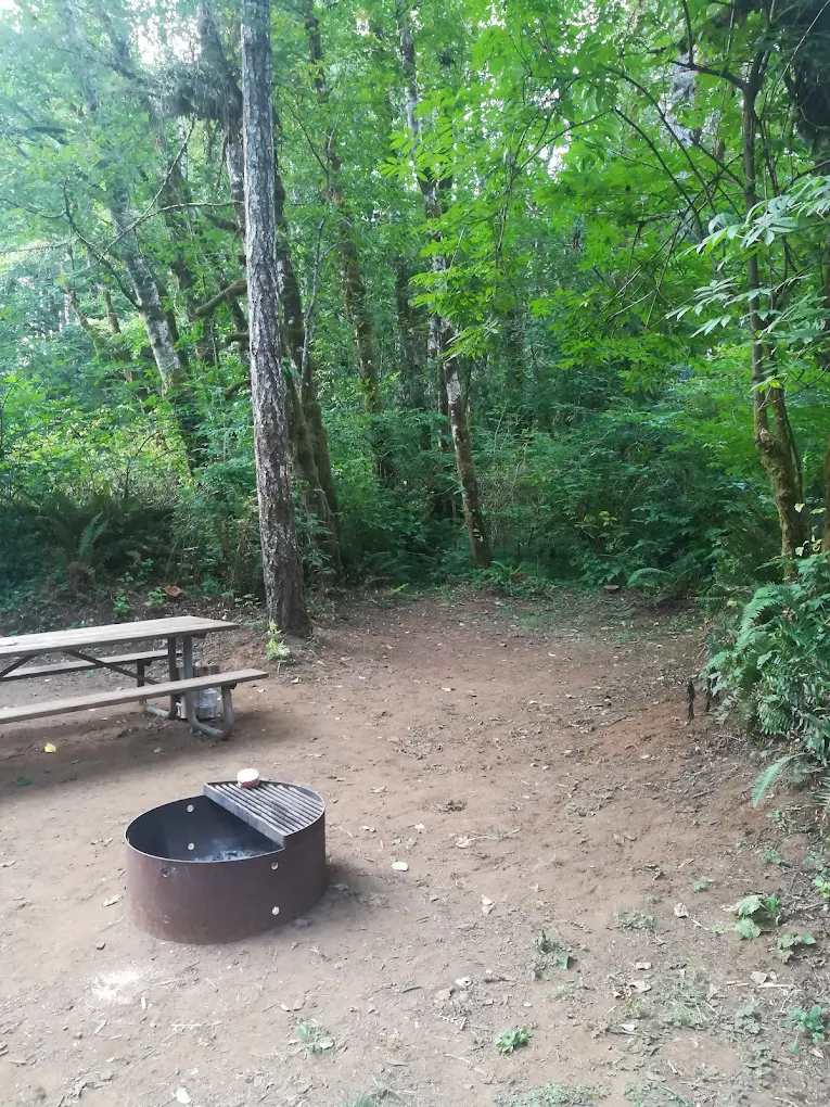 Trask River County Park - Hipcamp in Tillamook, Oregon