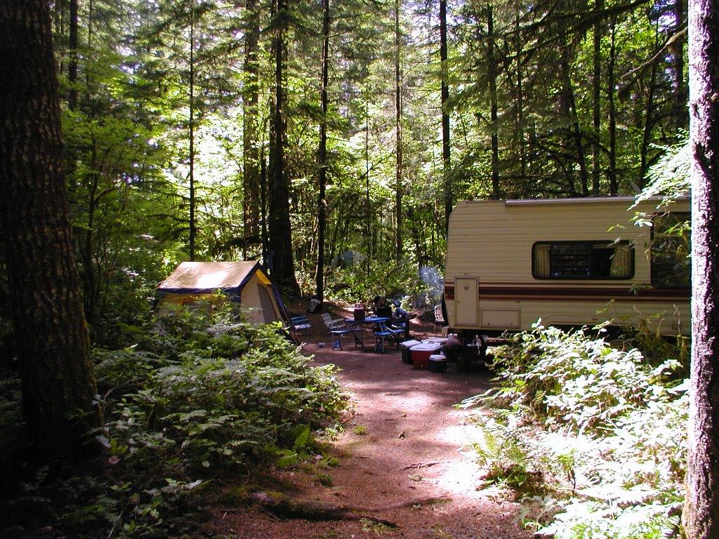 Whitcomb Creek Campground - Hipcamp in Foster, Oregon