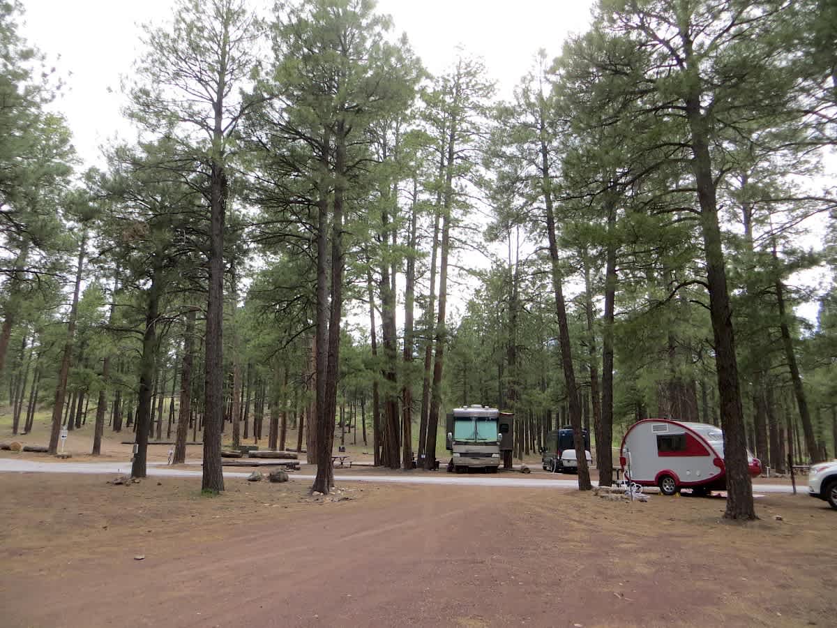 Fort Tuthill County Campground - Hipcamp in Flagstaff, Arizona