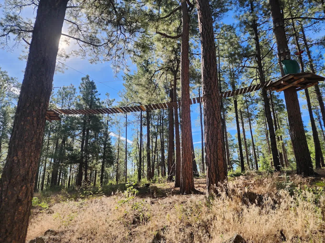 Fort Tuthill County Campground - Hipcamp in Flagstaff, Arizona