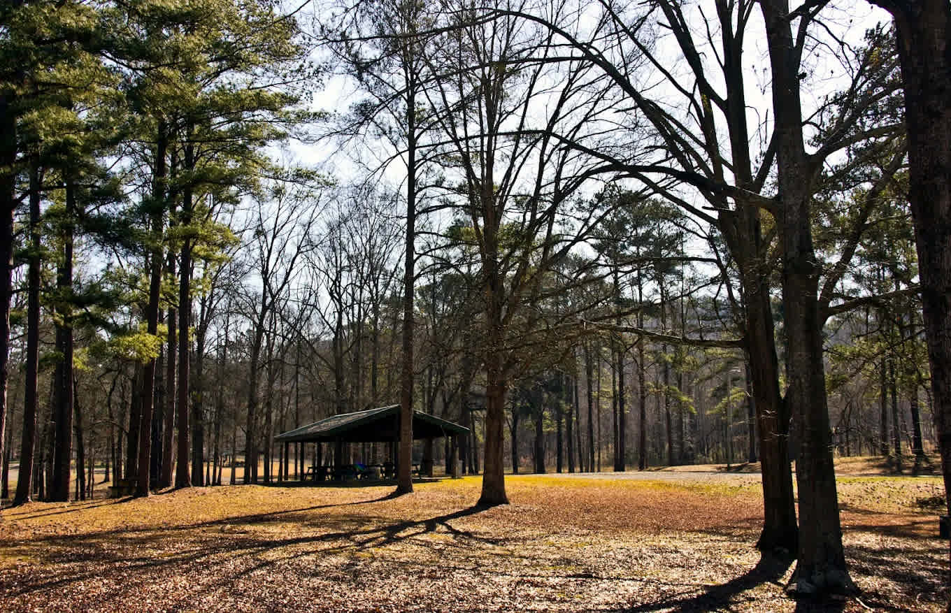 Smith Lake Park - Hipcamp in Cullman, Alabama