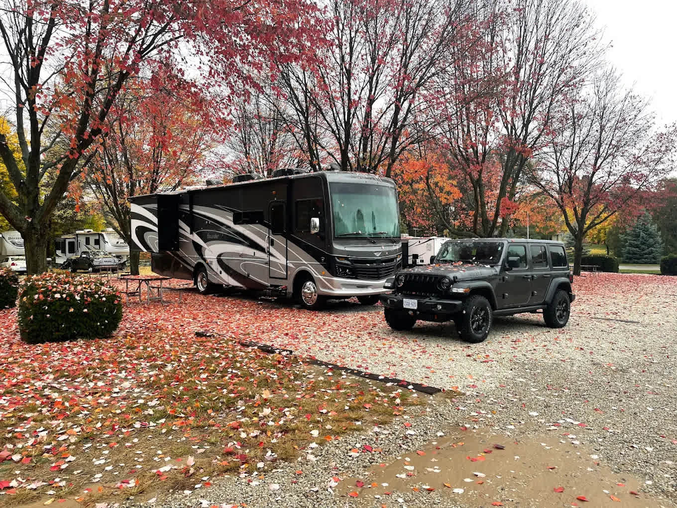 Woodchip Campground - Hipcamp in Byron Center, Michigan