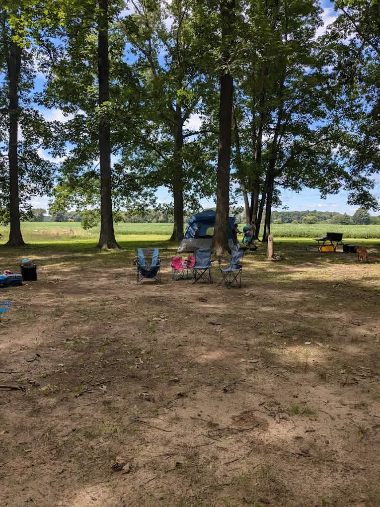 Twin Pine Campground and Canoe Livery - Hipcamp in Hanover, Michigan