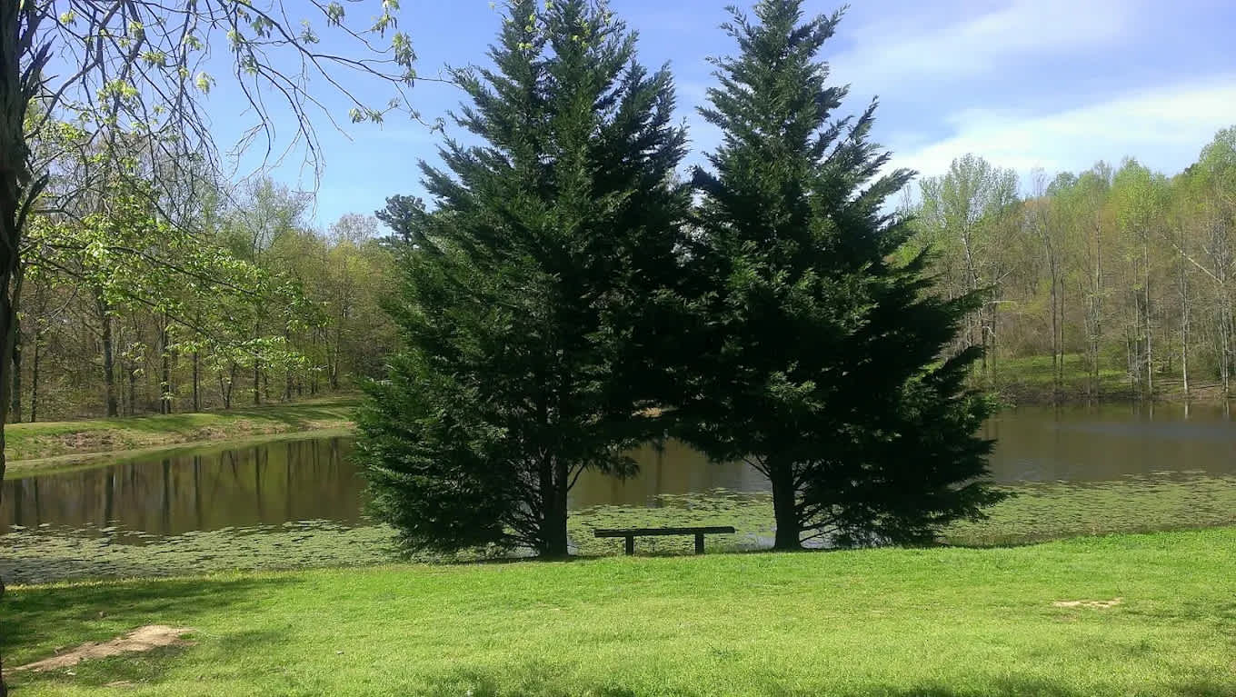 Hagan-Stone Park - Hipcamp in Greensboro, North Carolina