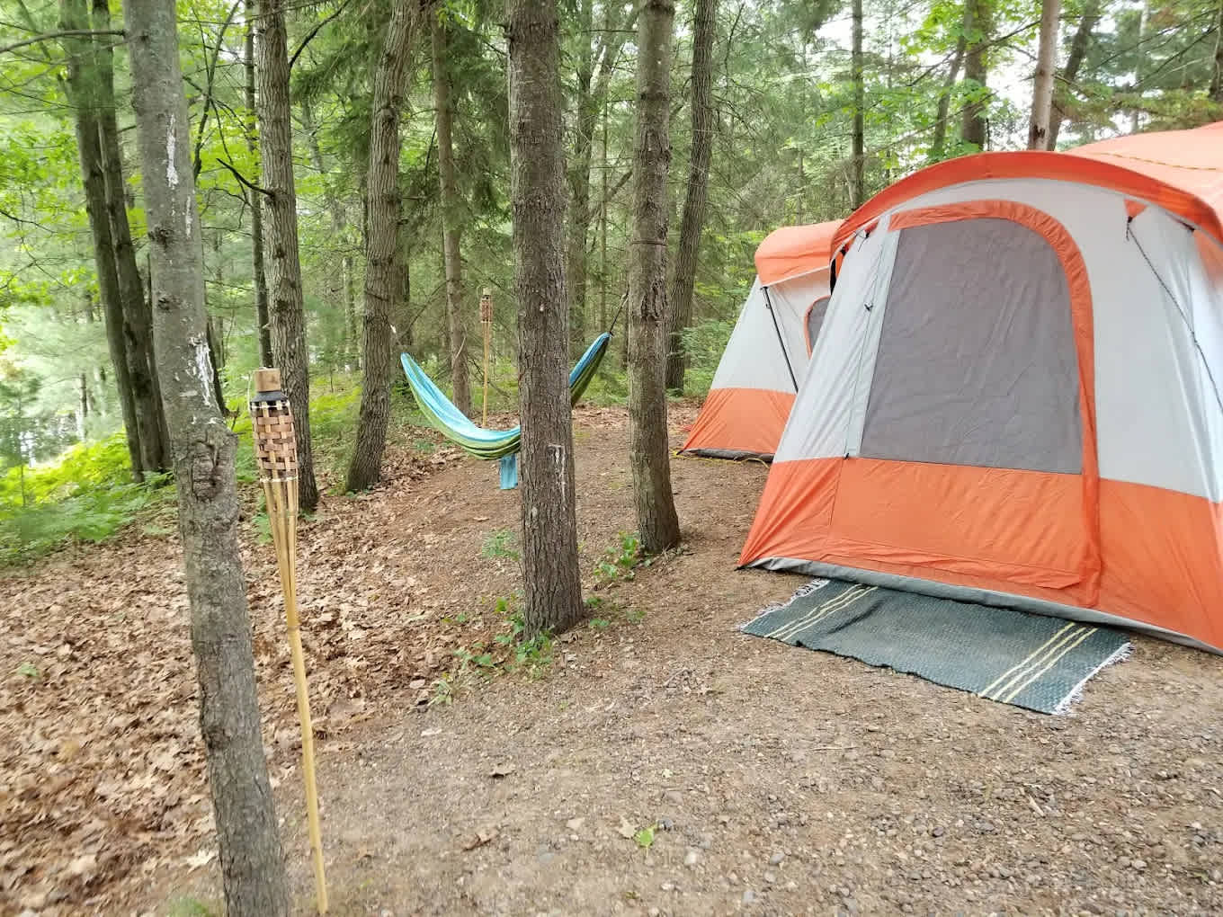 Pine Point County Park - Hipcamp in Holcombe, Wisconsin