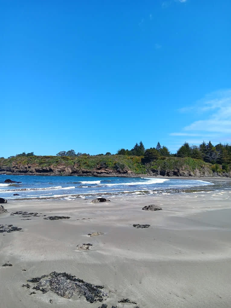 Caspar Beach RV Park - Hipcamp in Mendocino, California