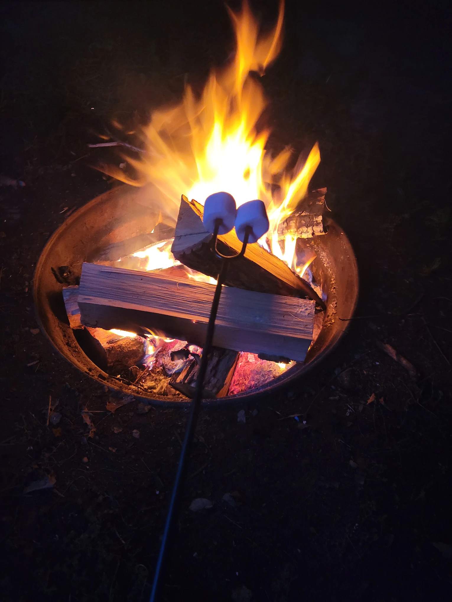 Bluff Valley Campgrounds - Hipcamp in Zumbro Falls, Minnesota