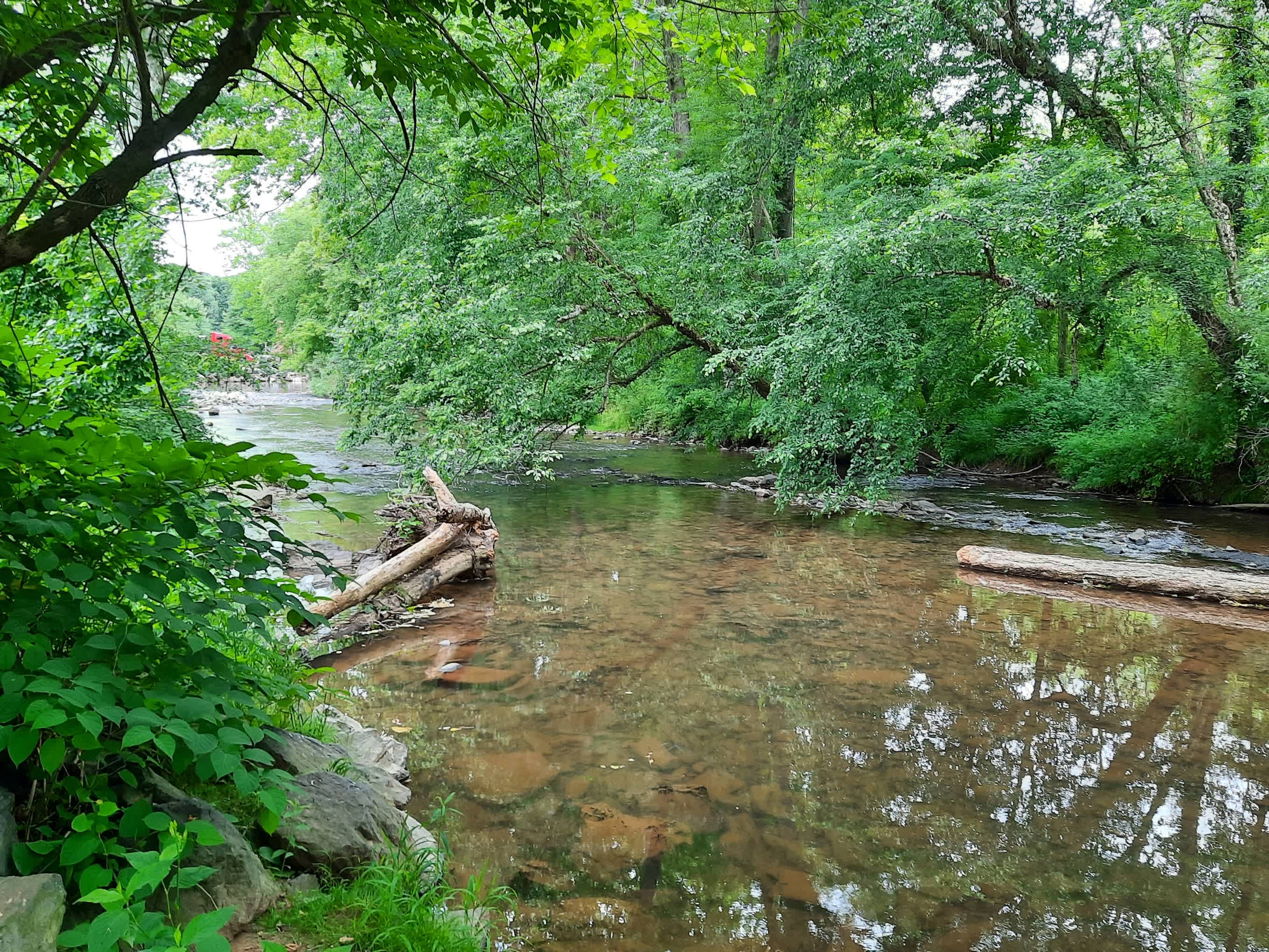 Lake Glory Campground - Hipcamp in Catawissa, Pennsylvania