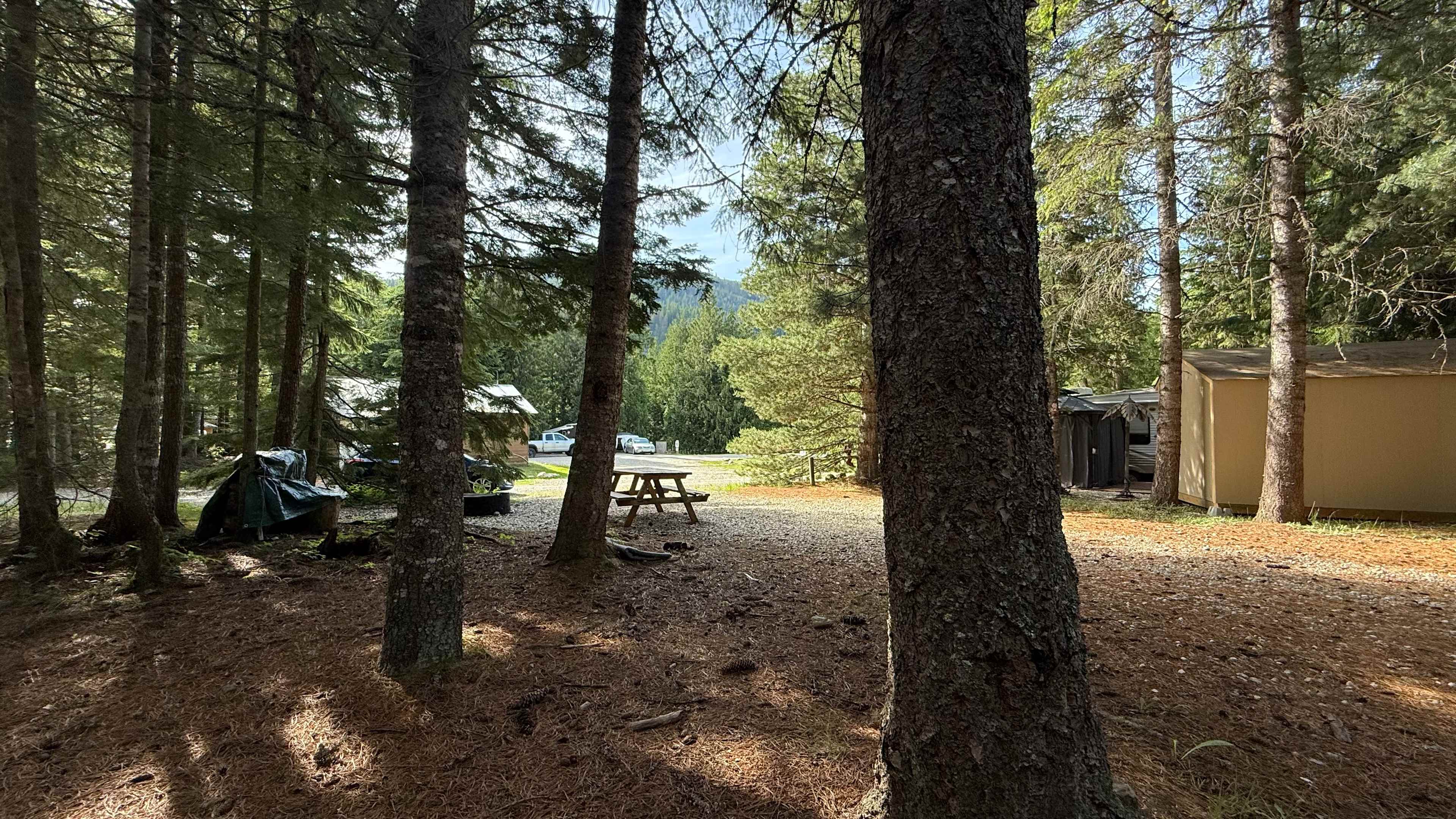Cedars RV Resort Lot #31 - Hipcamp in Sicamous, British Columbia
