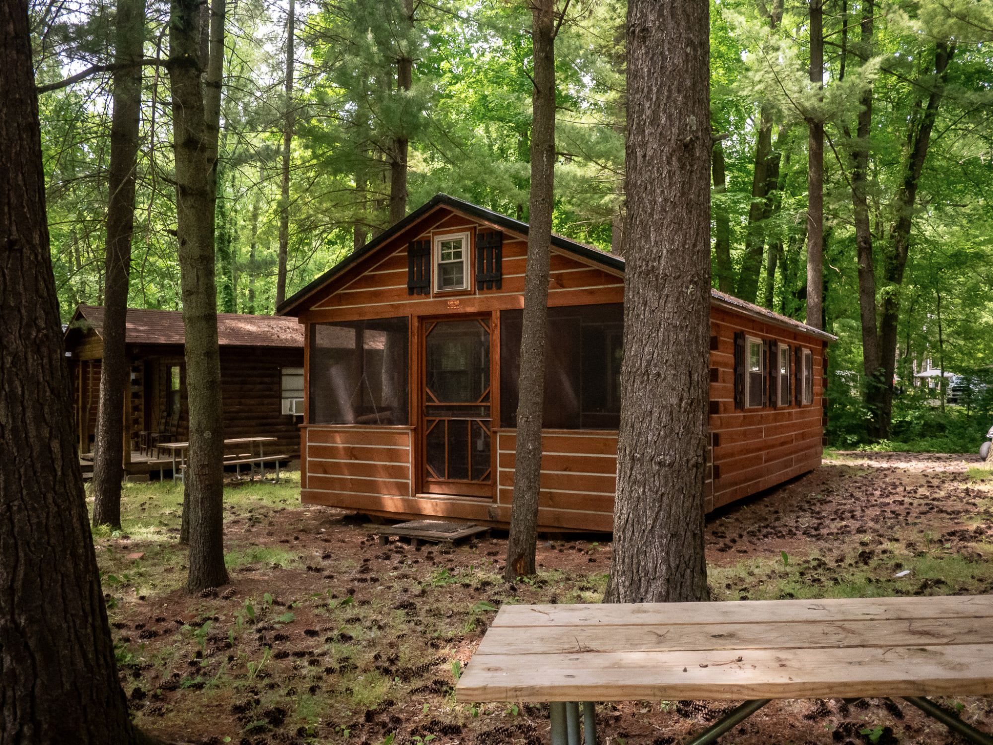 Indian Springs Campground - Hipcamp in Garrett, Indiana