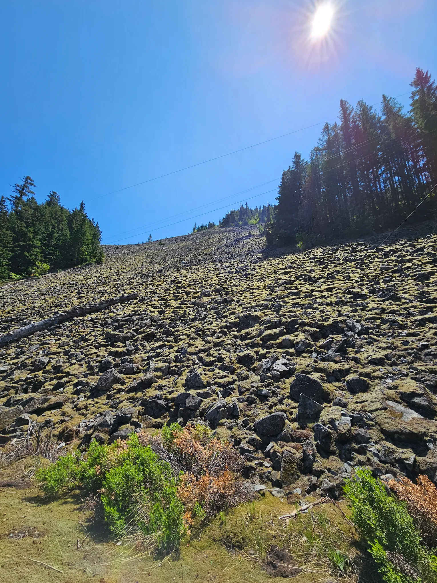 Alice Creek Campground - Hipcamp in North Bend, Washington