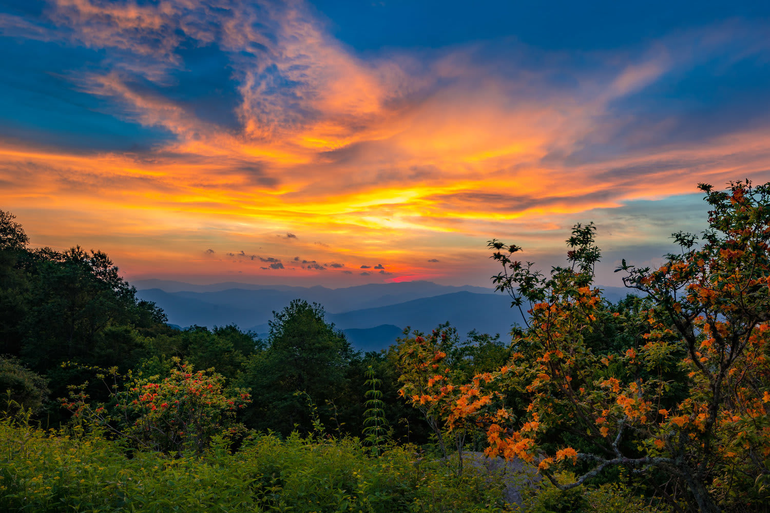 Mile High Campground - Hipcamp in Cherokee, North Carolina