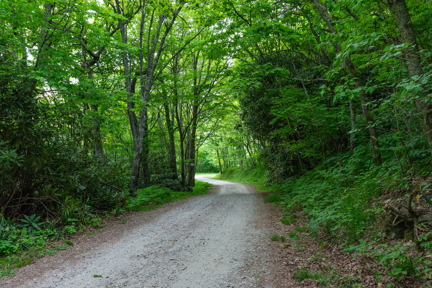 Mile High Campground - Hipcamp in Cherokee, North Carolina