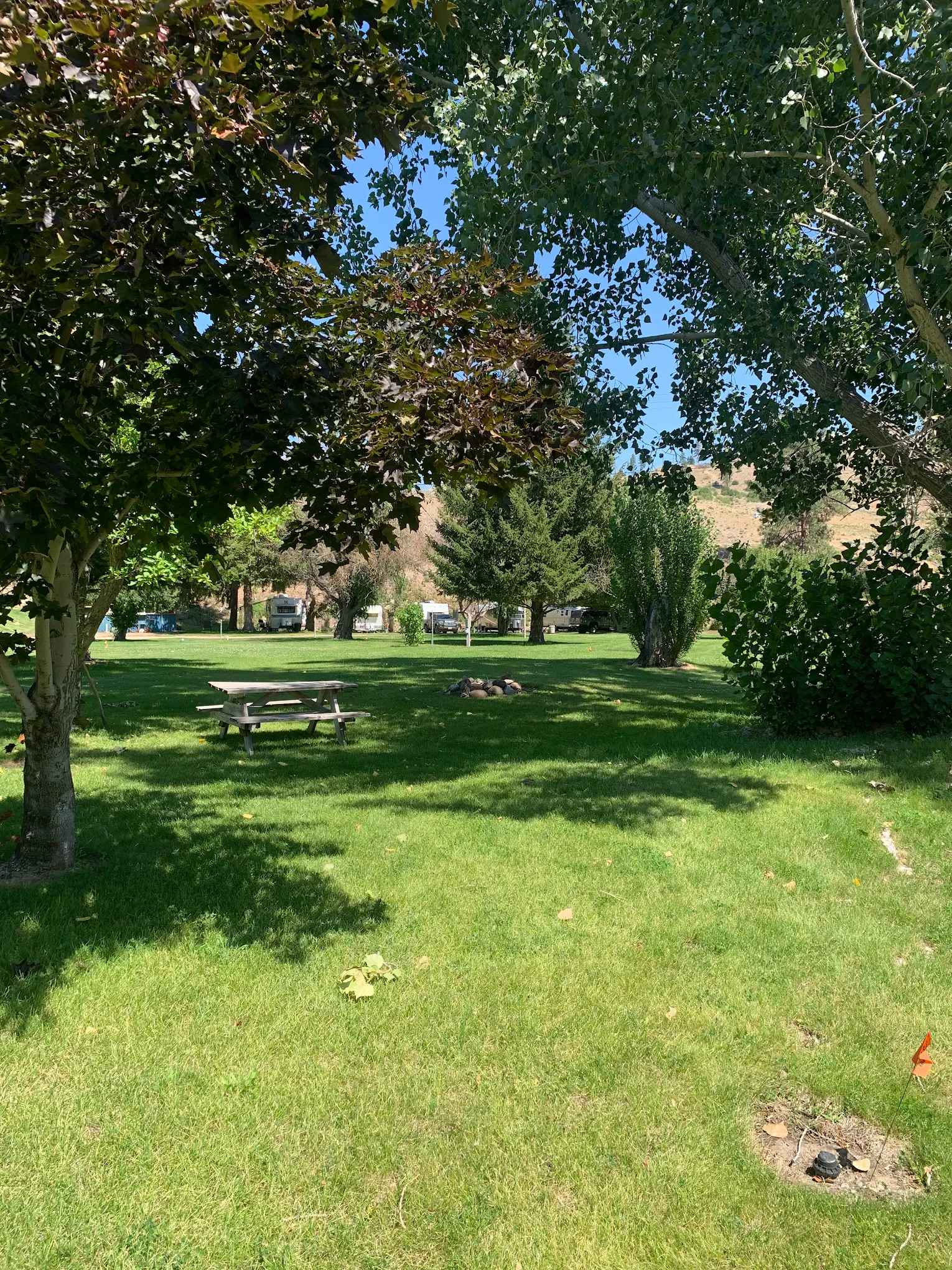 Lightning Pine RV Park - Hipcamp in Methow, Washington