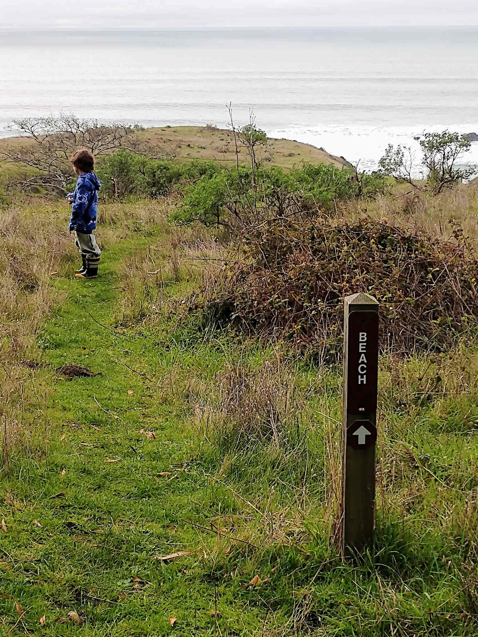Cleone Grocery Campground - Hipcamp in Fort Bragg, California