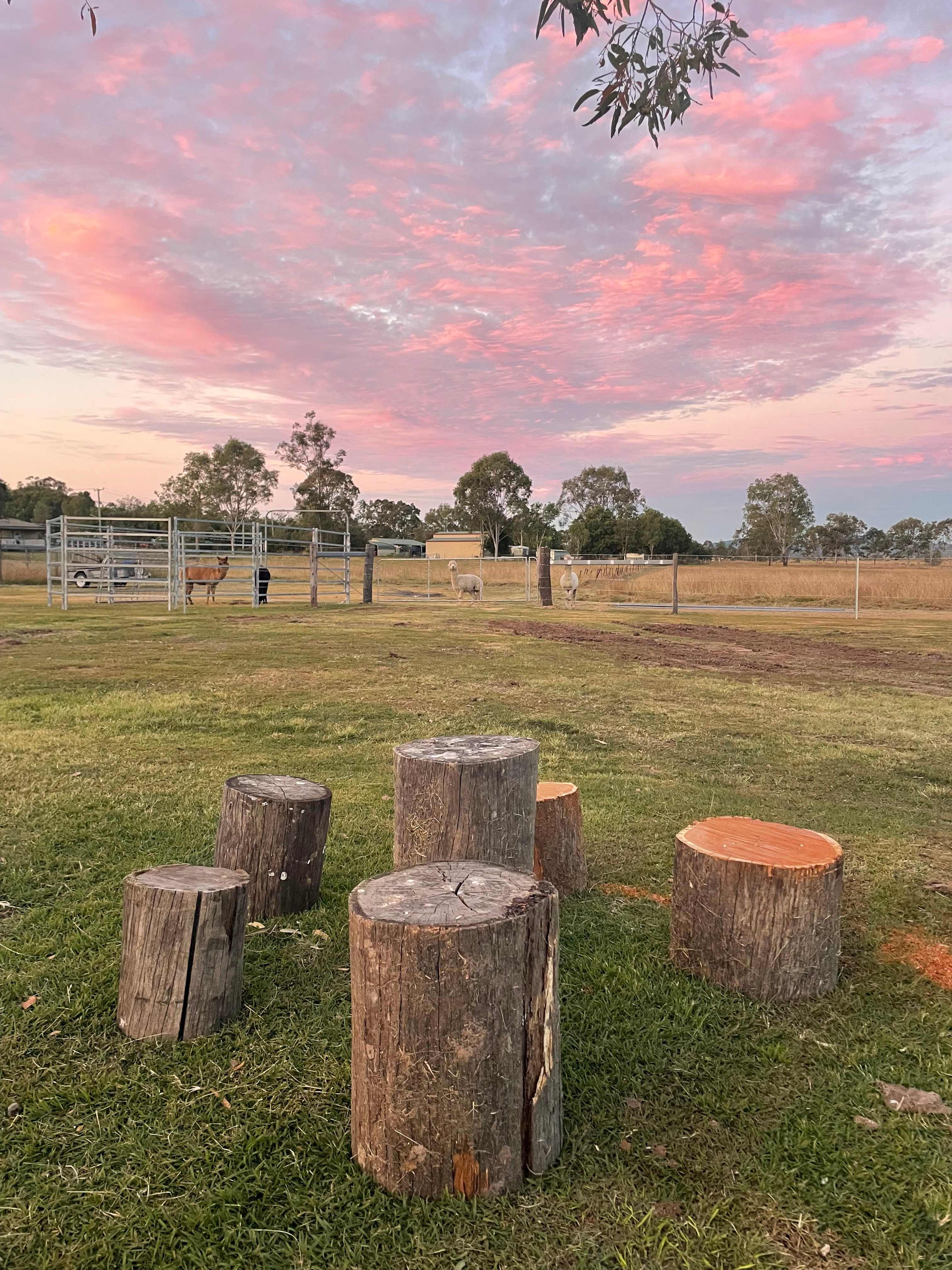 Yellow Rose Ranch - Hipcamp in Lockrose, Queensland