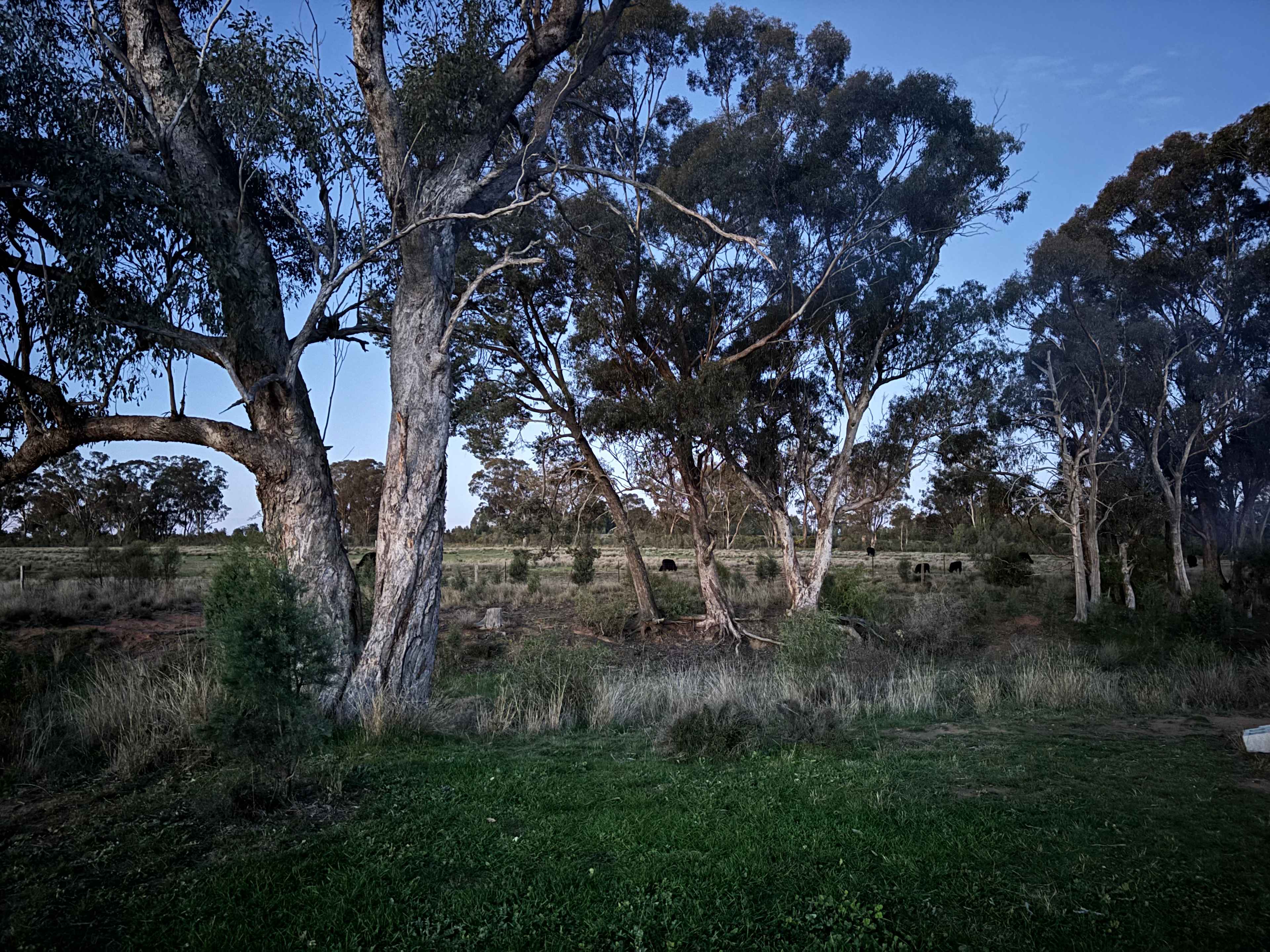 Camping Near Dubbo, NSW, AU: 12 Best Campgrounds 2025 | Hipcamp