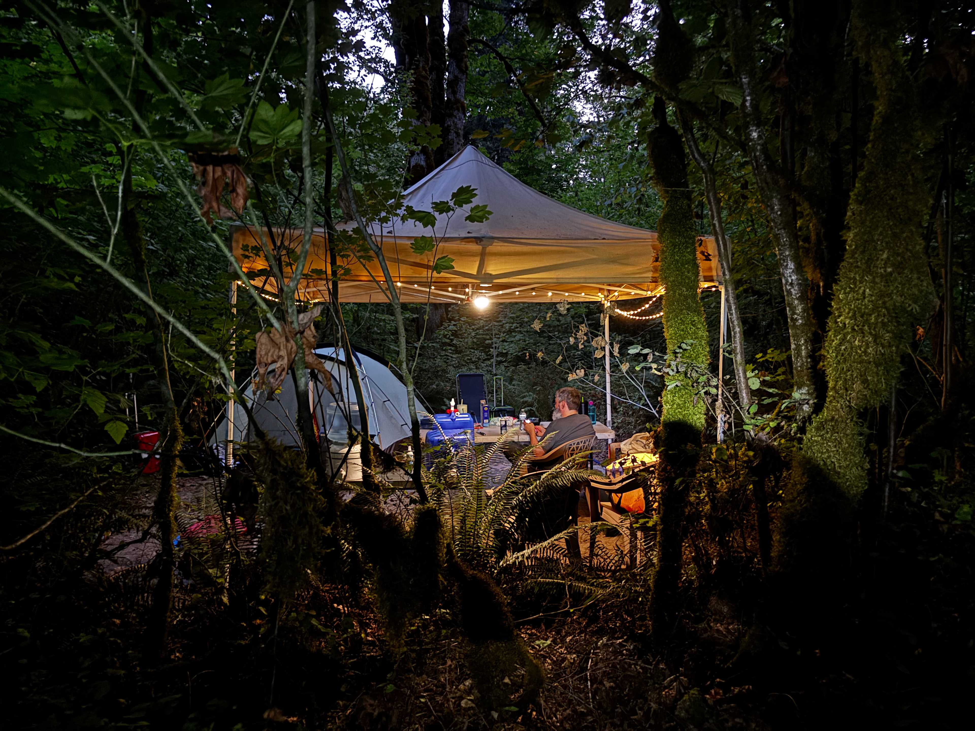 Best camping near Diablo Lake, WA, US: 12 Best Campgrounds 2025 | Hipcamp