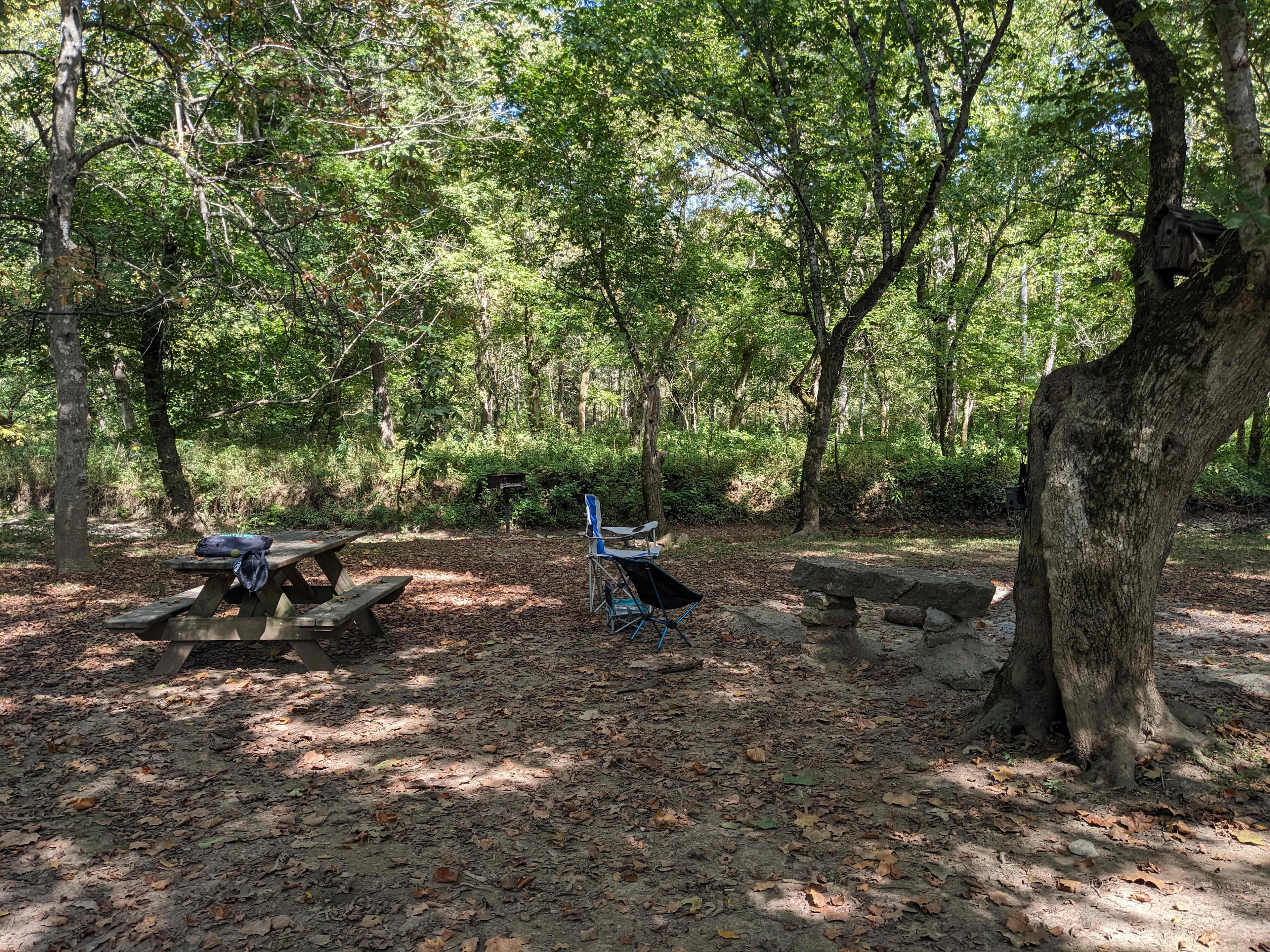 Camping in Kentucky: Best Kentucky Campgrounds 2025 | Hipcamp