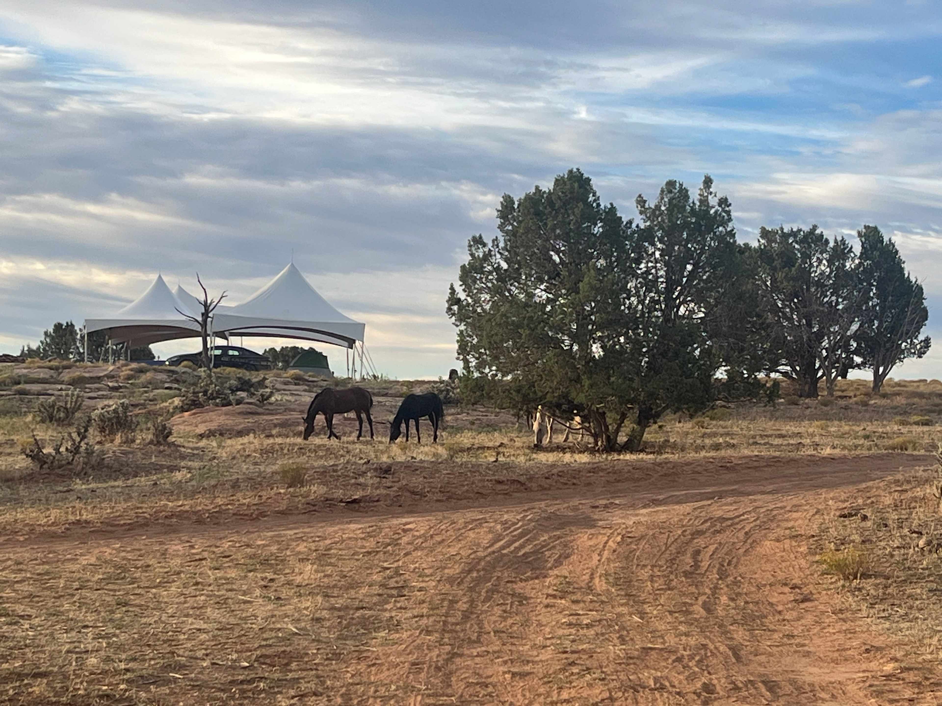 Camping Near Springdale, UT, US: 12 Best Campgrounds 2025 | Hipcamp