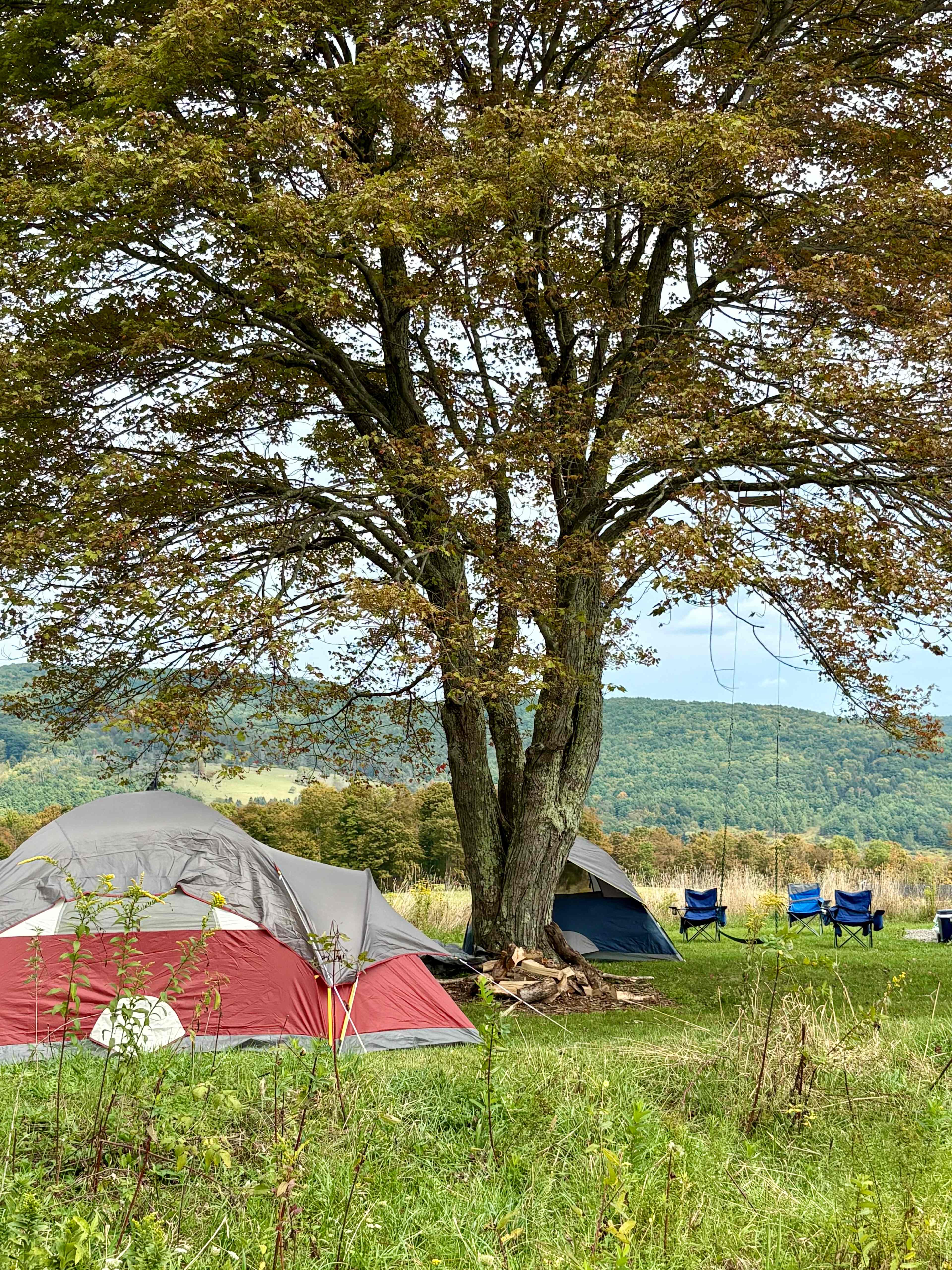 Camping in the Finger Lakes, New York: Best Finger Lakes Campgrounds ...
