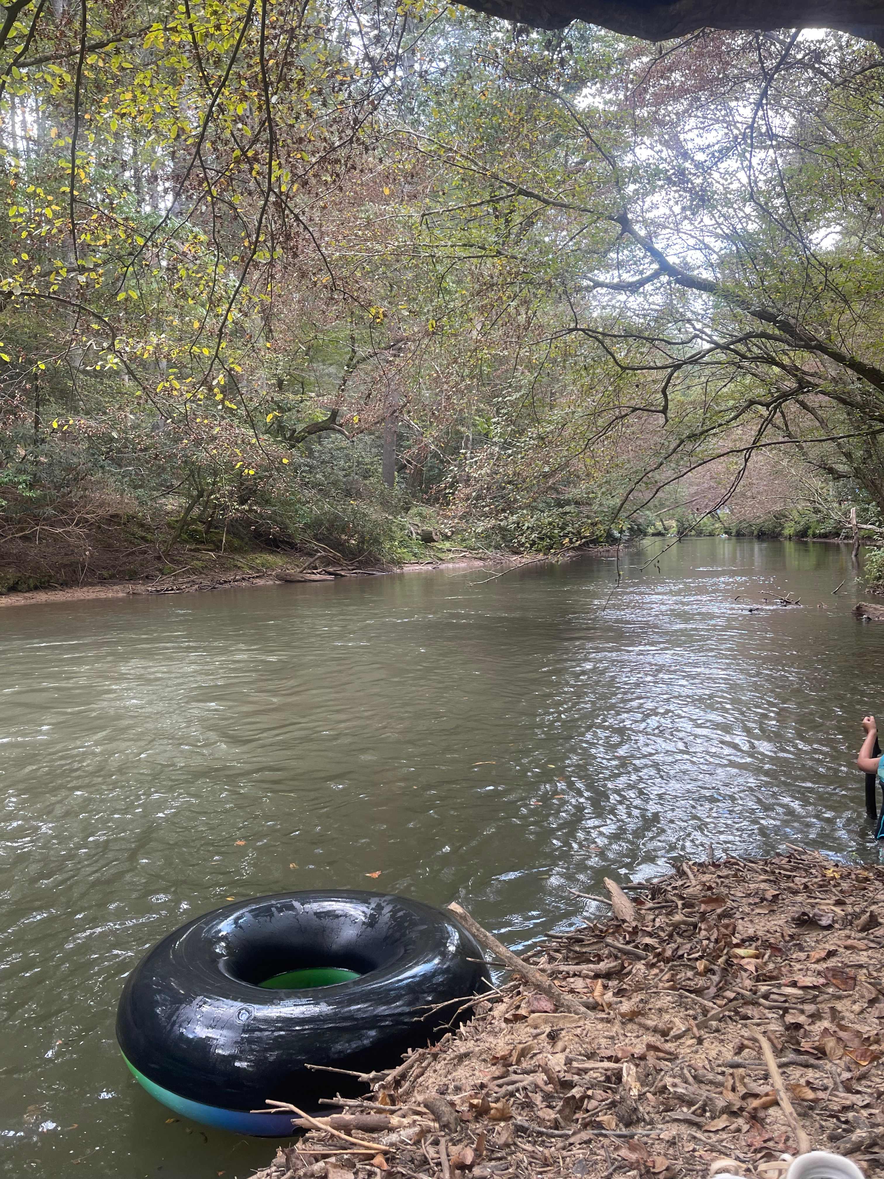 Camping in Georgia: Best Georgia Campgrounds 2025 | Hipcamp