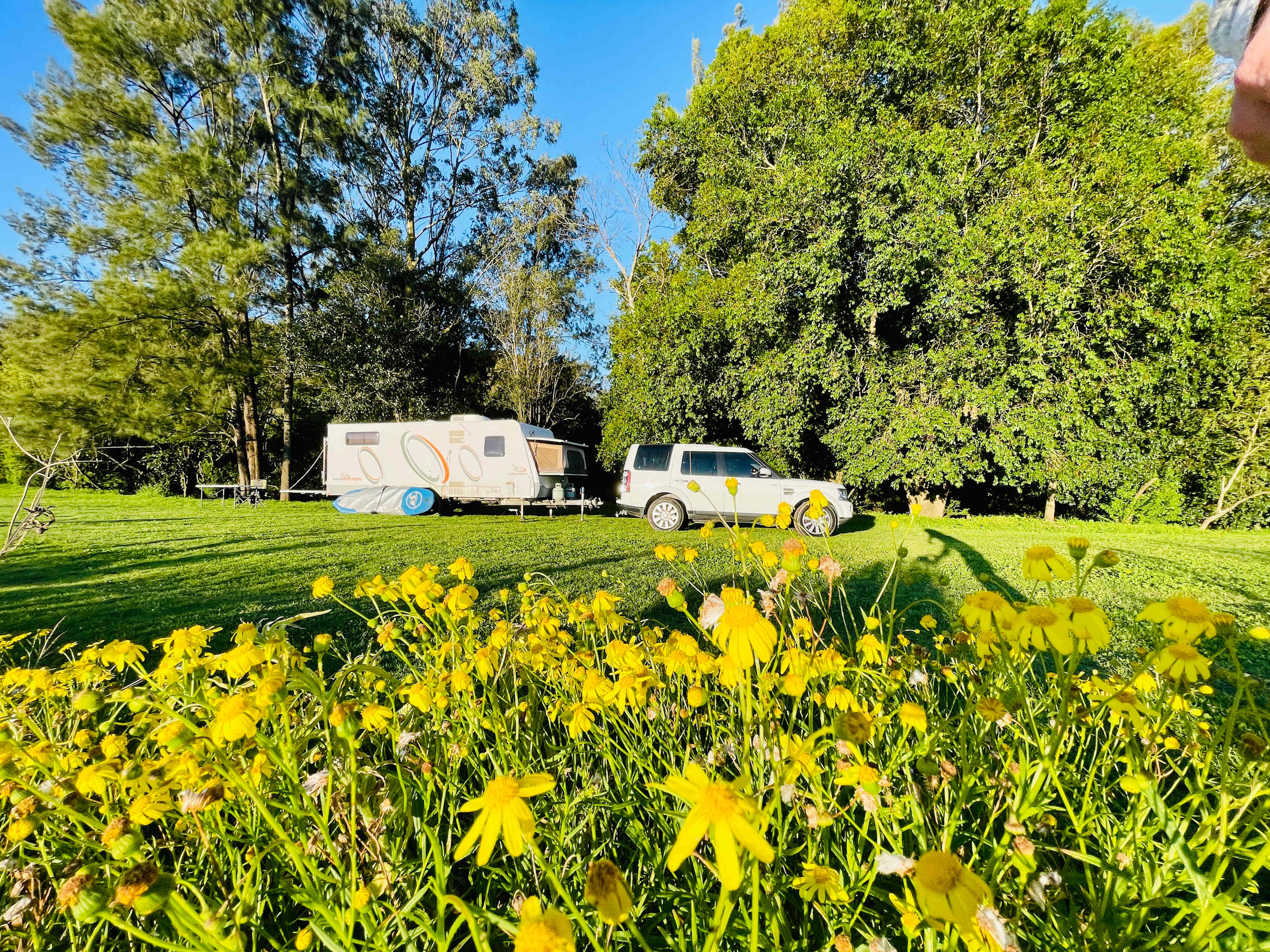 Camping Near Forster, NSW, AU: 12 Best Campgrounds 2025 | Hipcamp