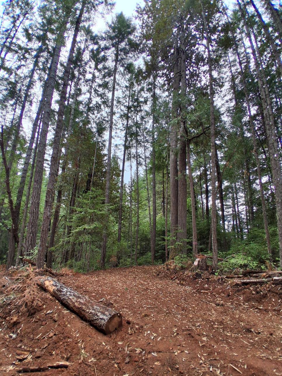 The Real Kind Of Forest Camping - Hipcamp in Camas Valley, Oregon