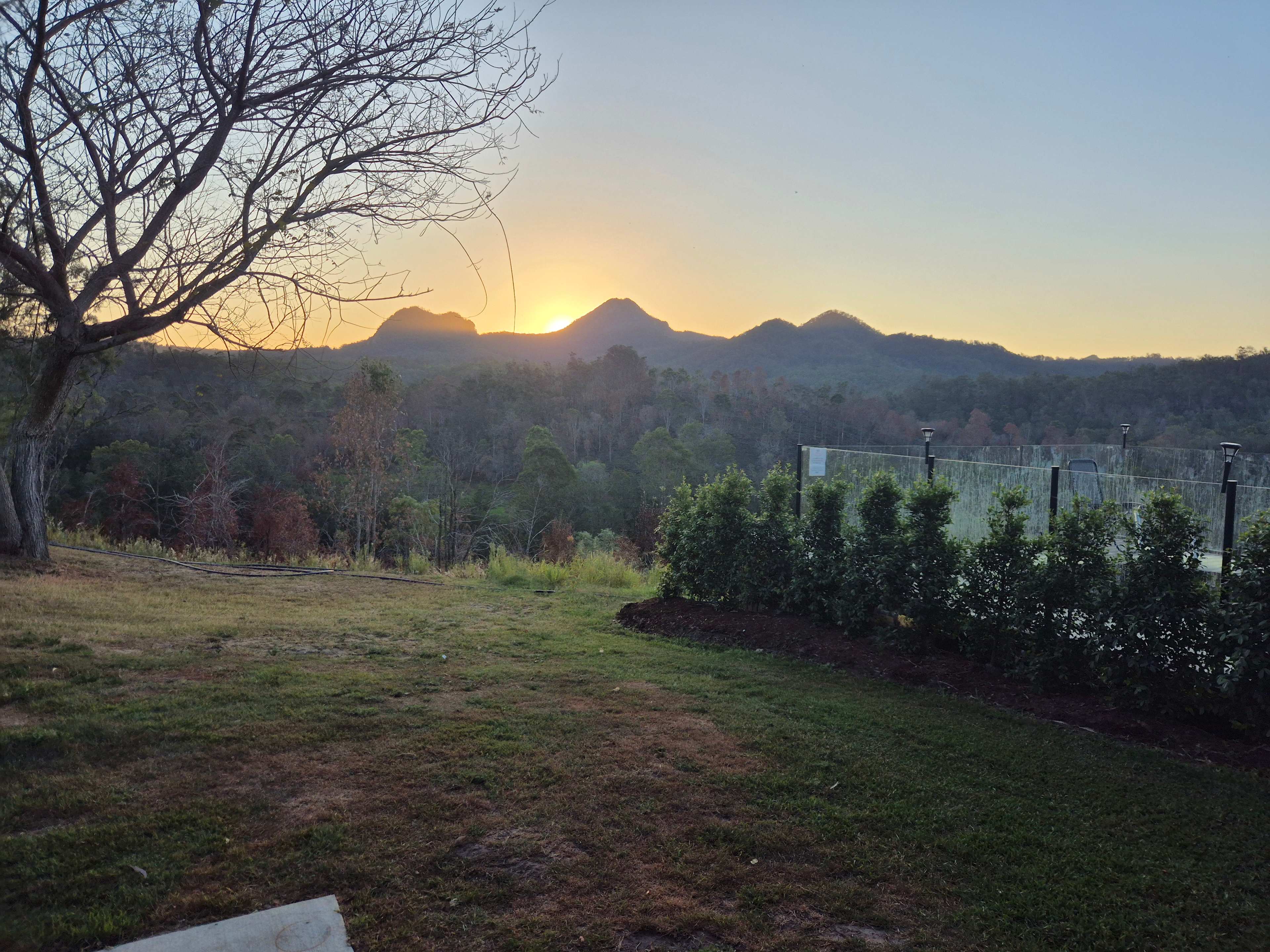 The best dog-friendly campgrounds in Queensland