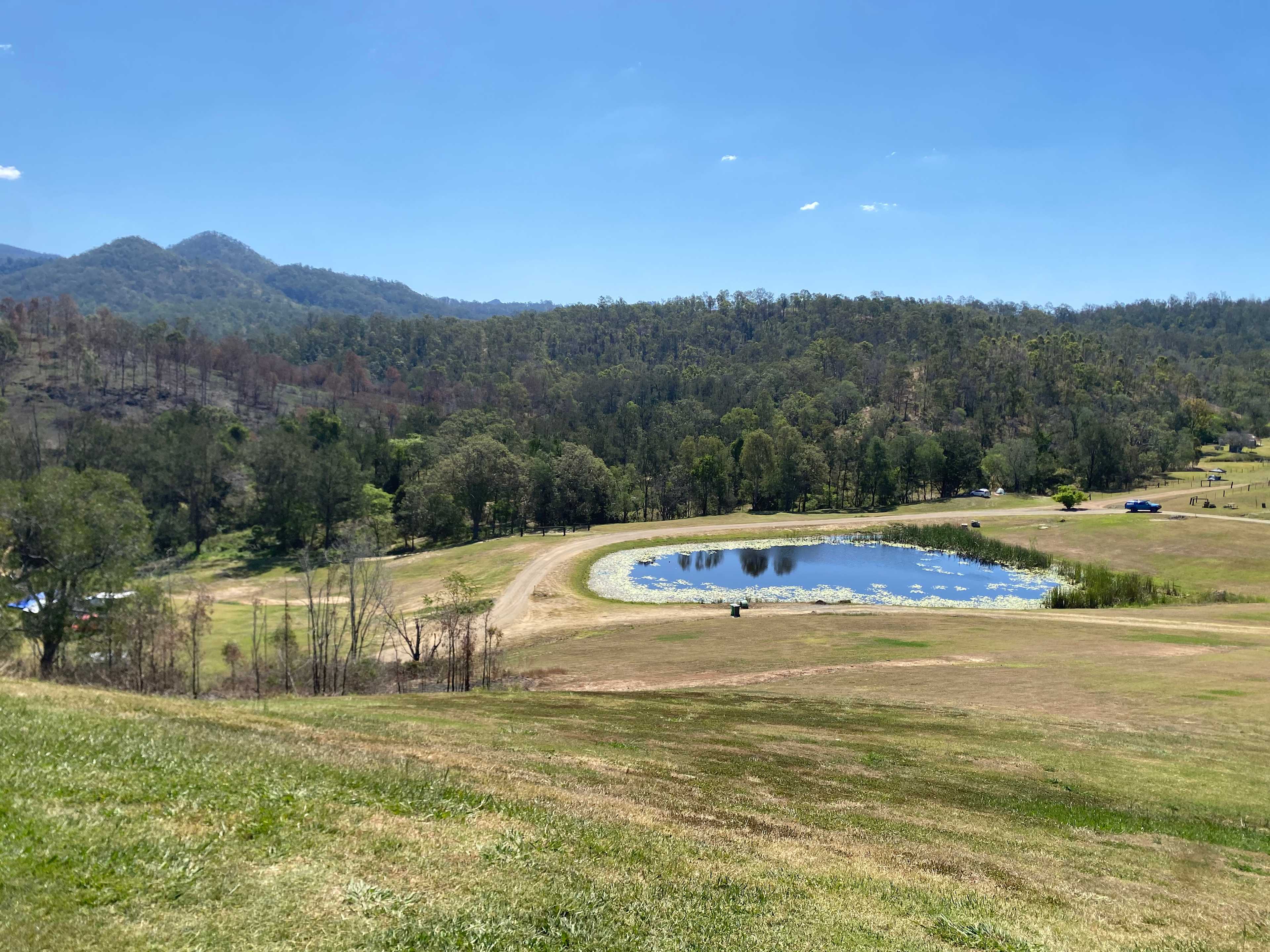 The best dog-friendly campgrounds in Queensland