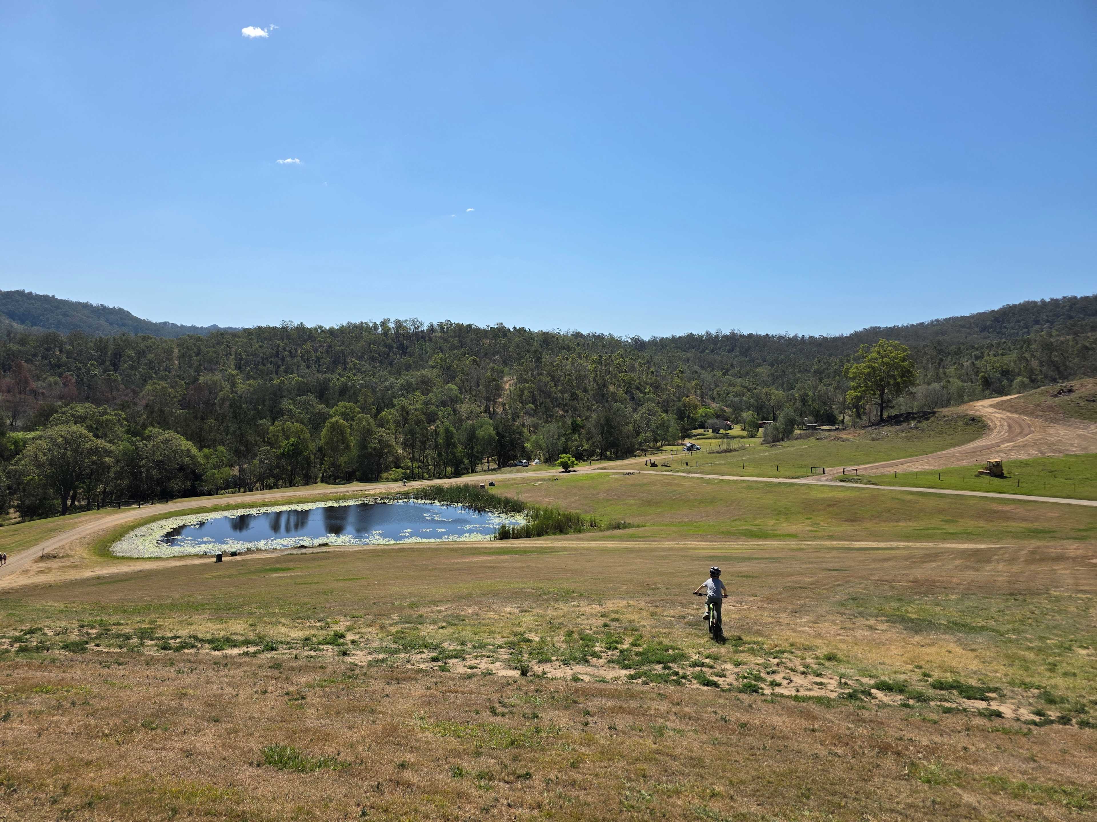 The best dog-friendly campgrounds in Queensland