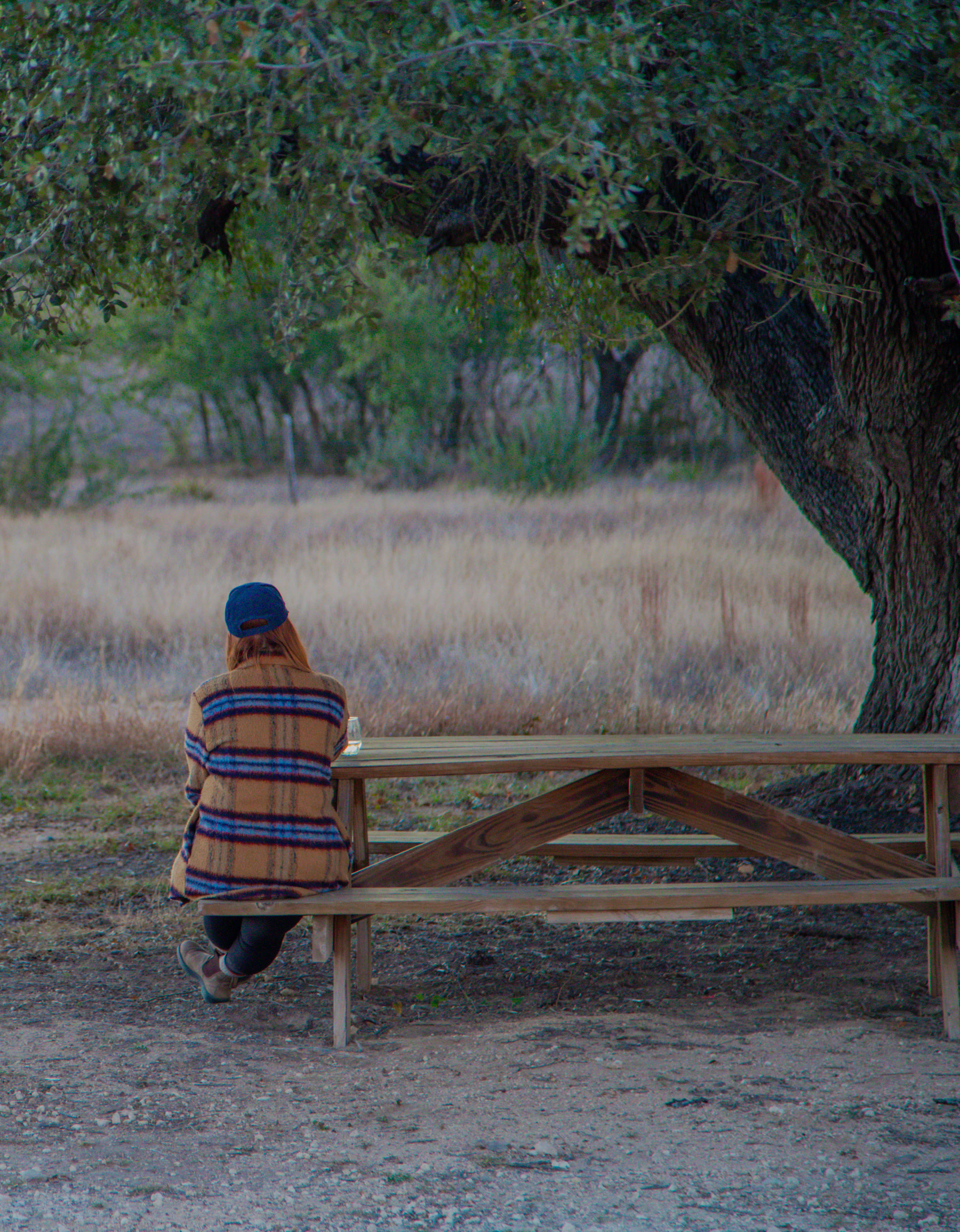 Johnny Yurts - Hipcamp in Johnson City, Texas