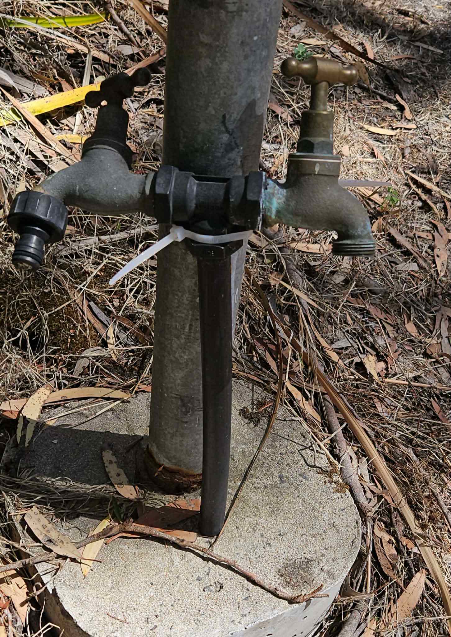 Lake Saint Clair Nature Retreat - Hipcamp in Nora Creina, South Australia