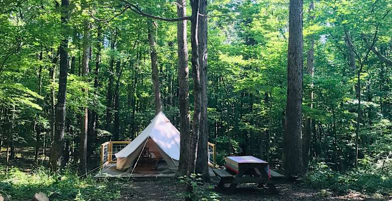 Discover the 40 best beach campgrounds near Haw River, North Carolina