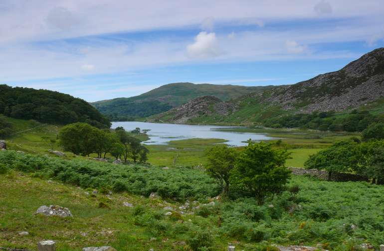 Best Camping in and near Llyn Cwm Bychan