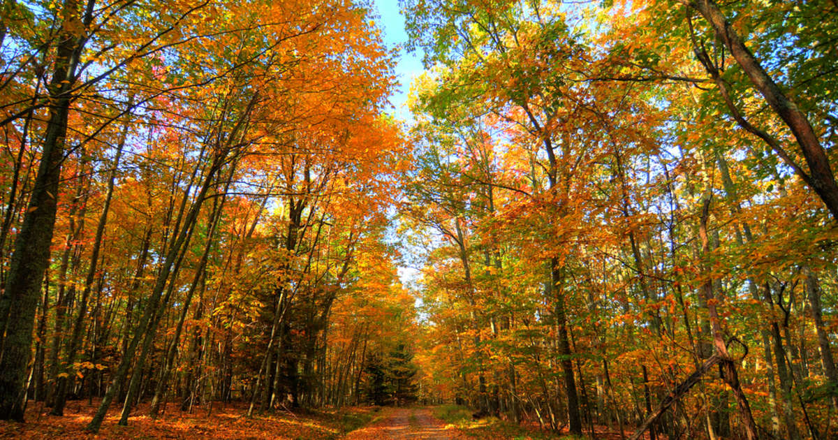 Best Camping in and near Seneca State Forest