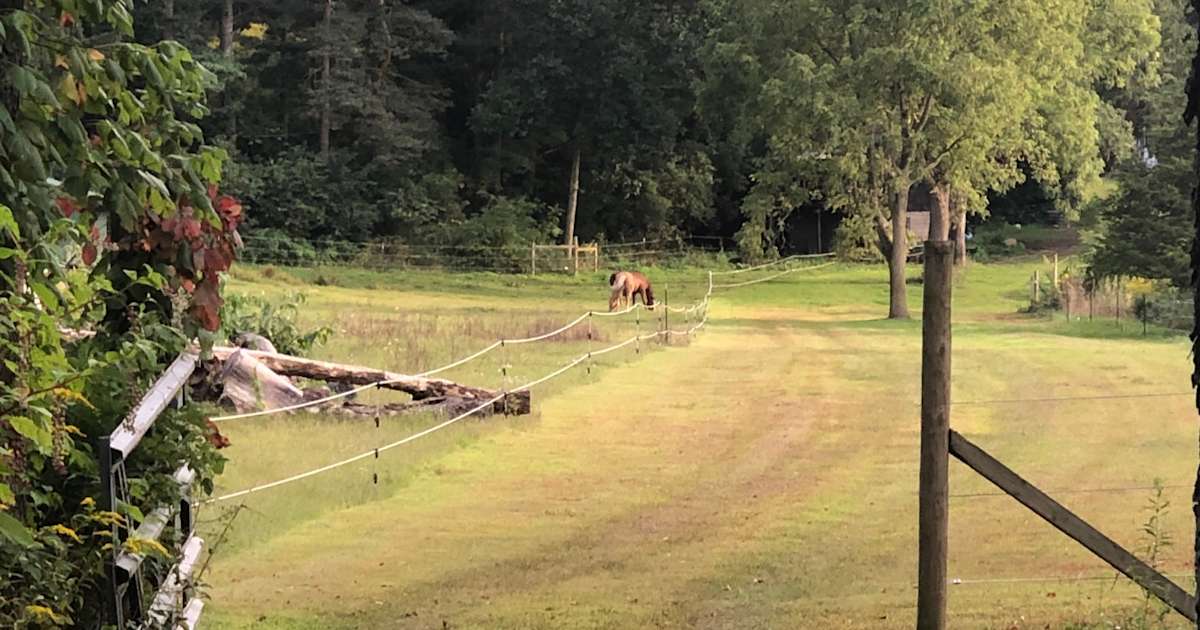 Our Lil' Ranch Camping