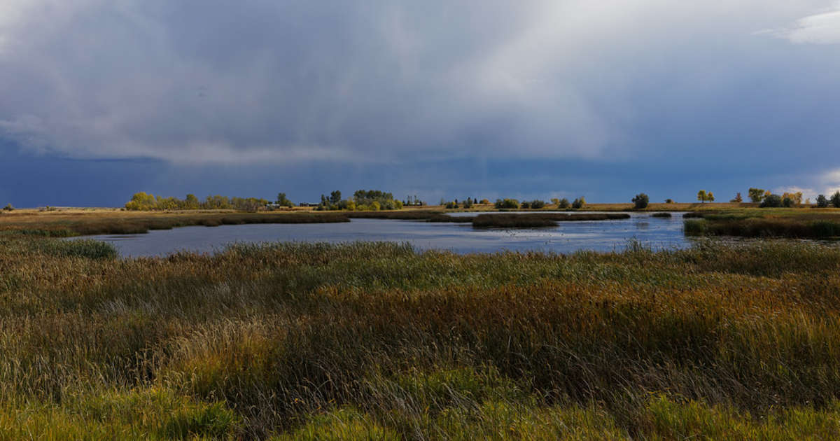 Best Camping in and near Kinbrook Island Provincial Park