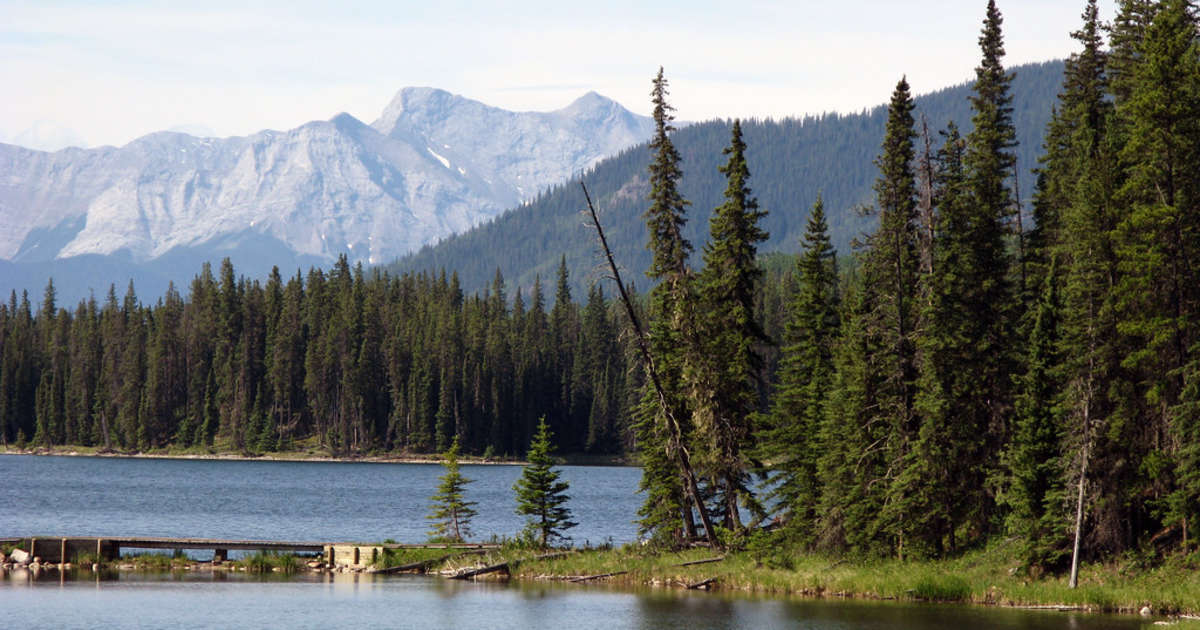 Best Camping in and near William A. Switzer Provincial Park