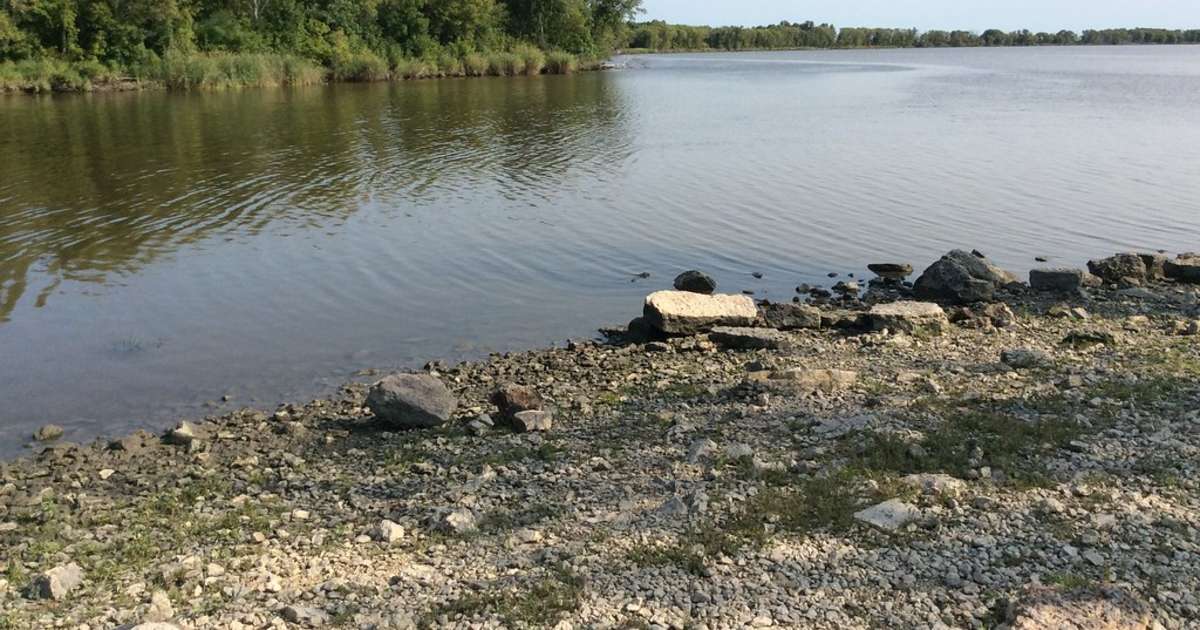 Best Camping in and near Netley Creek Provincial Park