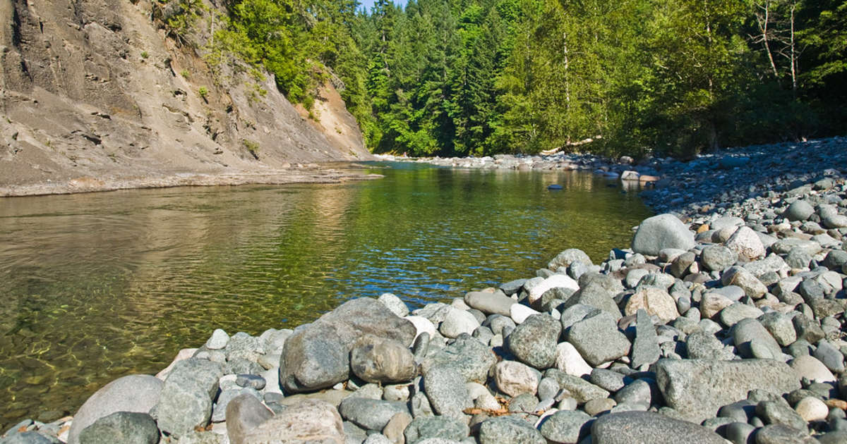 Best Camping in and near Chemainus River Provincial Park