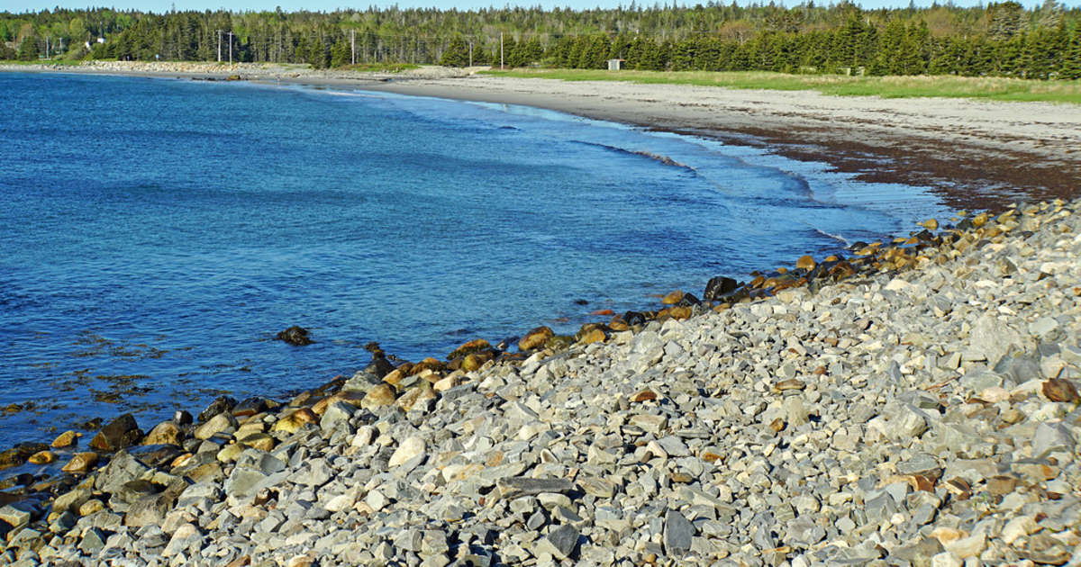Best Camping in and near Bayswater Beach Provincial Park