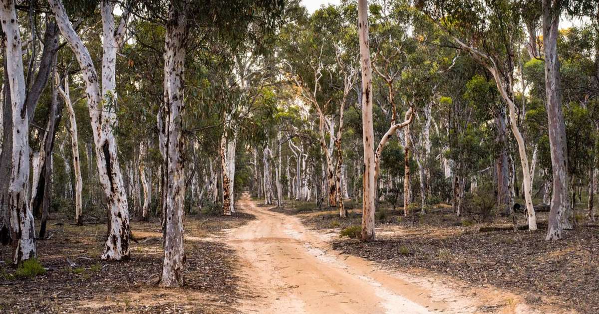 Best Camping in and near Wandoo National Park